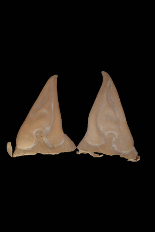 2ndQ. Elfie uszy (Moon Elf Ears) | CHARAKTERYZACJA \ Prostetyki ...